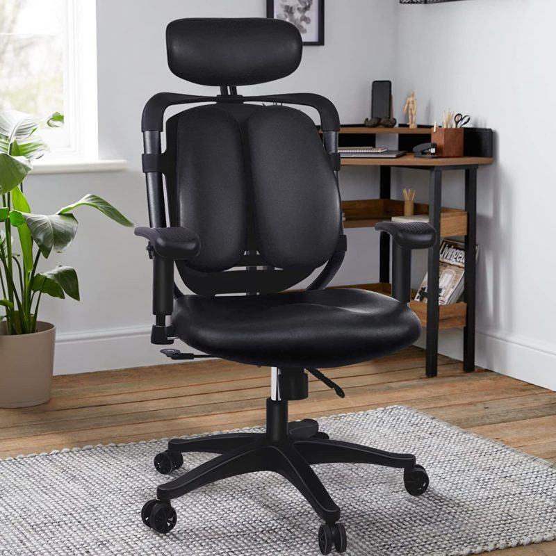 Ortho-Aid Ergonomic Office Chair Office | Chair with Lumbar Support l ...